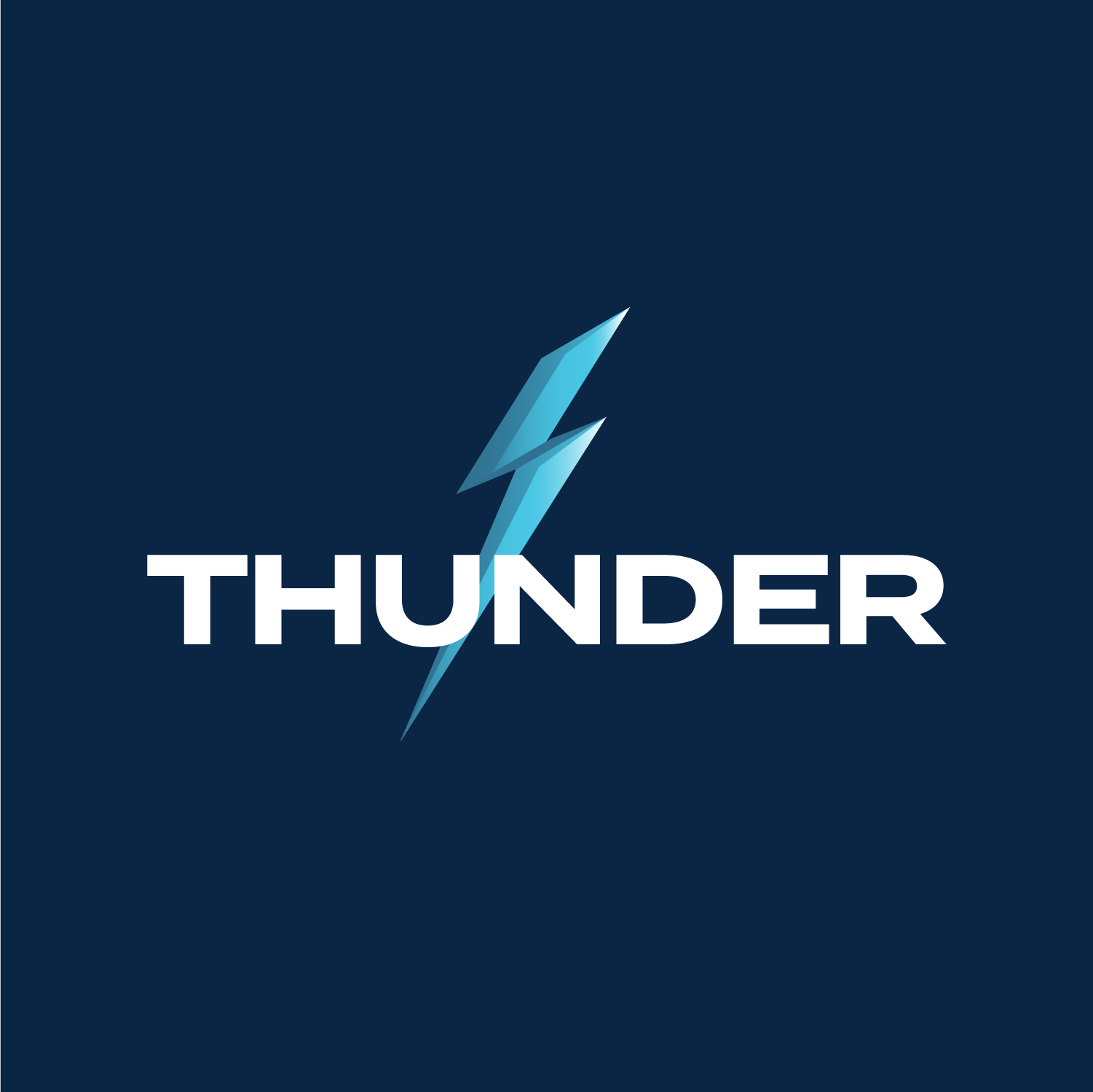 Thunder Corporate Identity - zlapdash.com