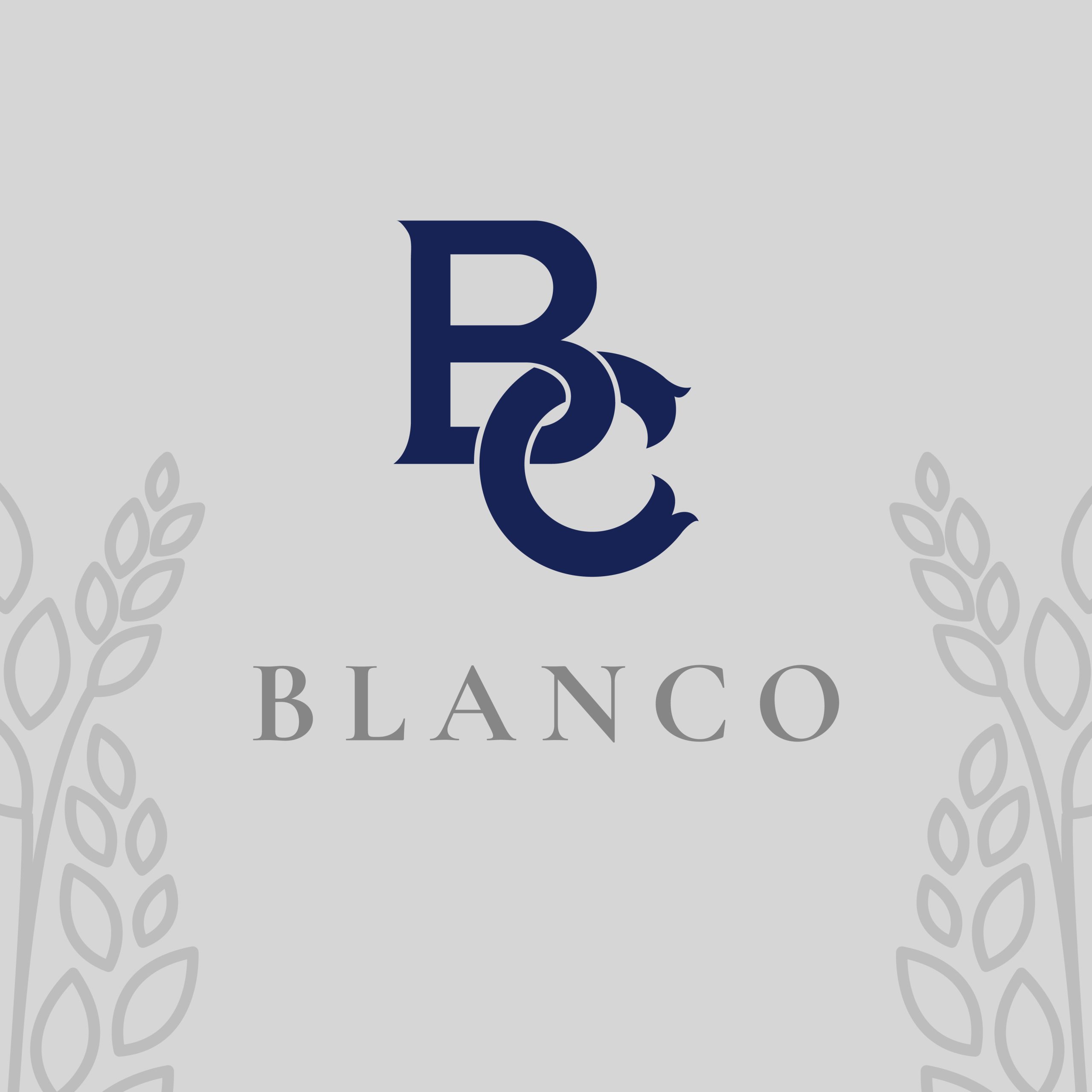 Blanco - zlapdash.com